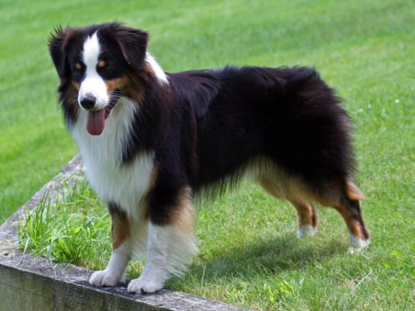 Porters Black Avatar